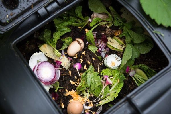 Make Your Own Compost – Floralawn