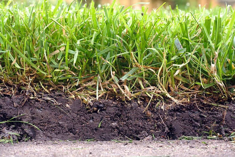 The Thing About Thatch – Floralawn