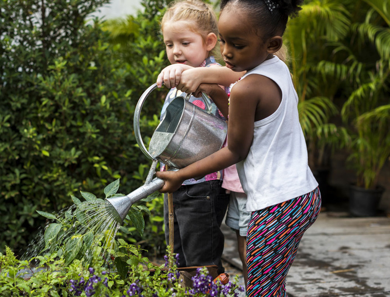 Landscaping with Kids: How to Combine Plants and Parenting – Floralawn