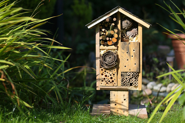 Build an Insect House for Your Garden – Floralawn