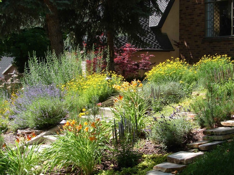 Celebrate Earth Day with Florida Friendly Landscaping – Floralawn