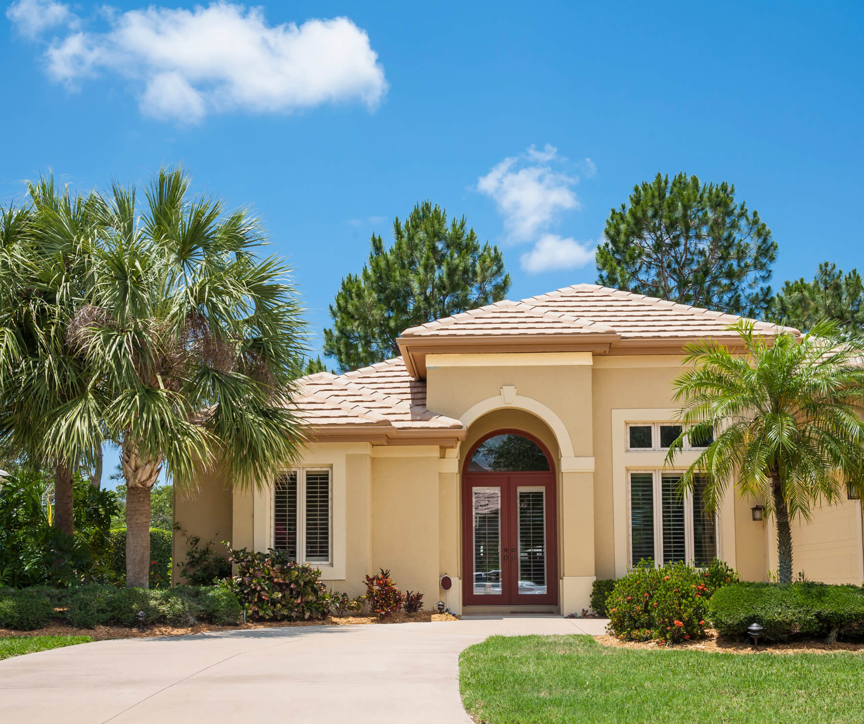 Florida's Native Palms: Selecting the Right Ones for Your Landscape ...
